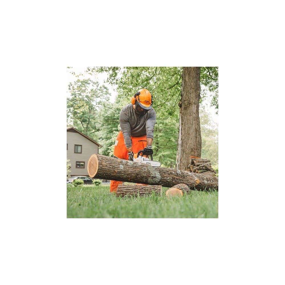 Stihl MSA 220 C-B 16L 16in Bar & Chain Battery-Powered Handheld ...