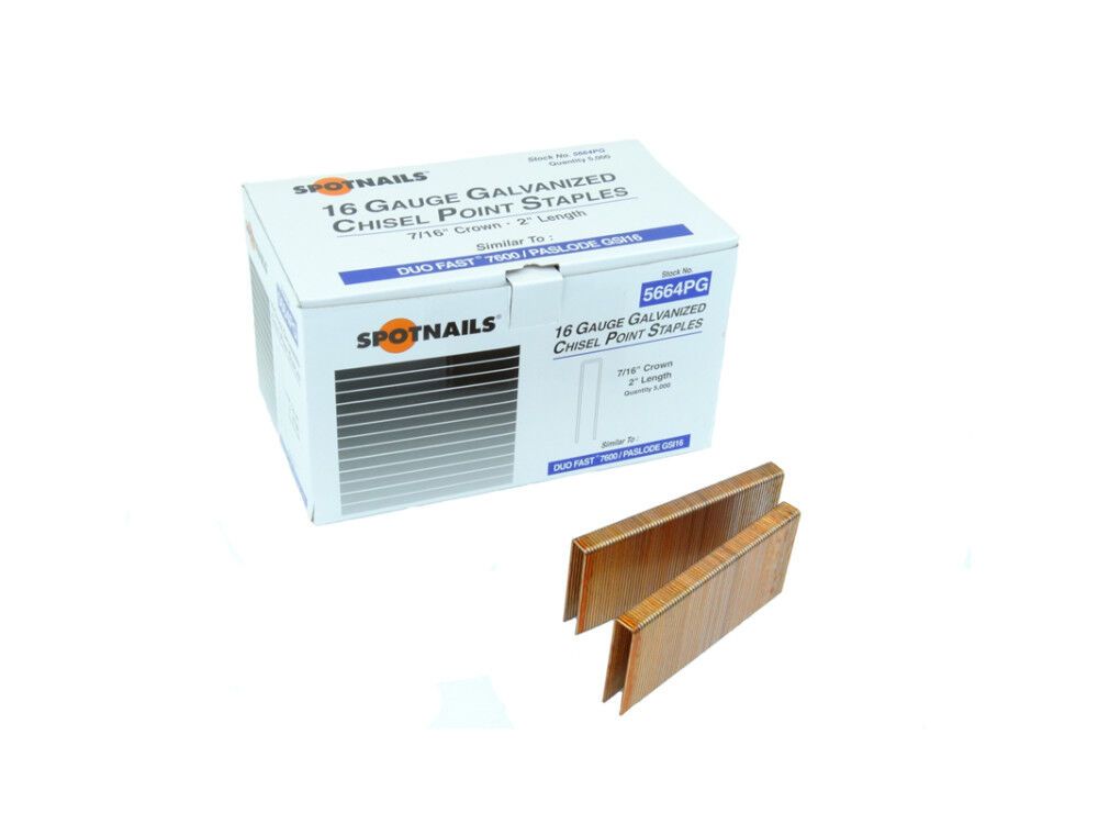 Spotnails 16 Gauge Chisel Point Galvanized Steel Intermediate Crown ...