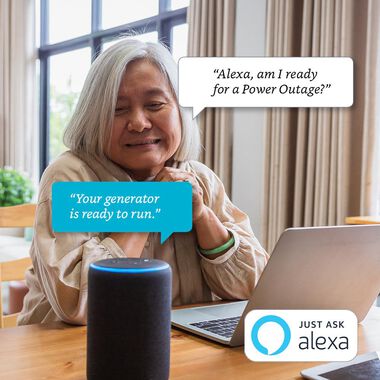 Generac Guardian Series 70432 22kwith 19.5kW Air Cooled Home Standby ...