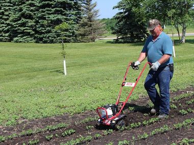 Maxim Mini Max 2 in 1 Tiller and Cultivator with 35cc Honda GX35 Engine ...