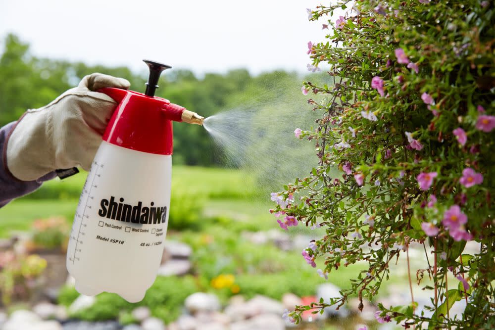 Shindaiwa Handheld Sprayer 48 Fluid Ounce 45 PSI Piston Style SP1H ...
