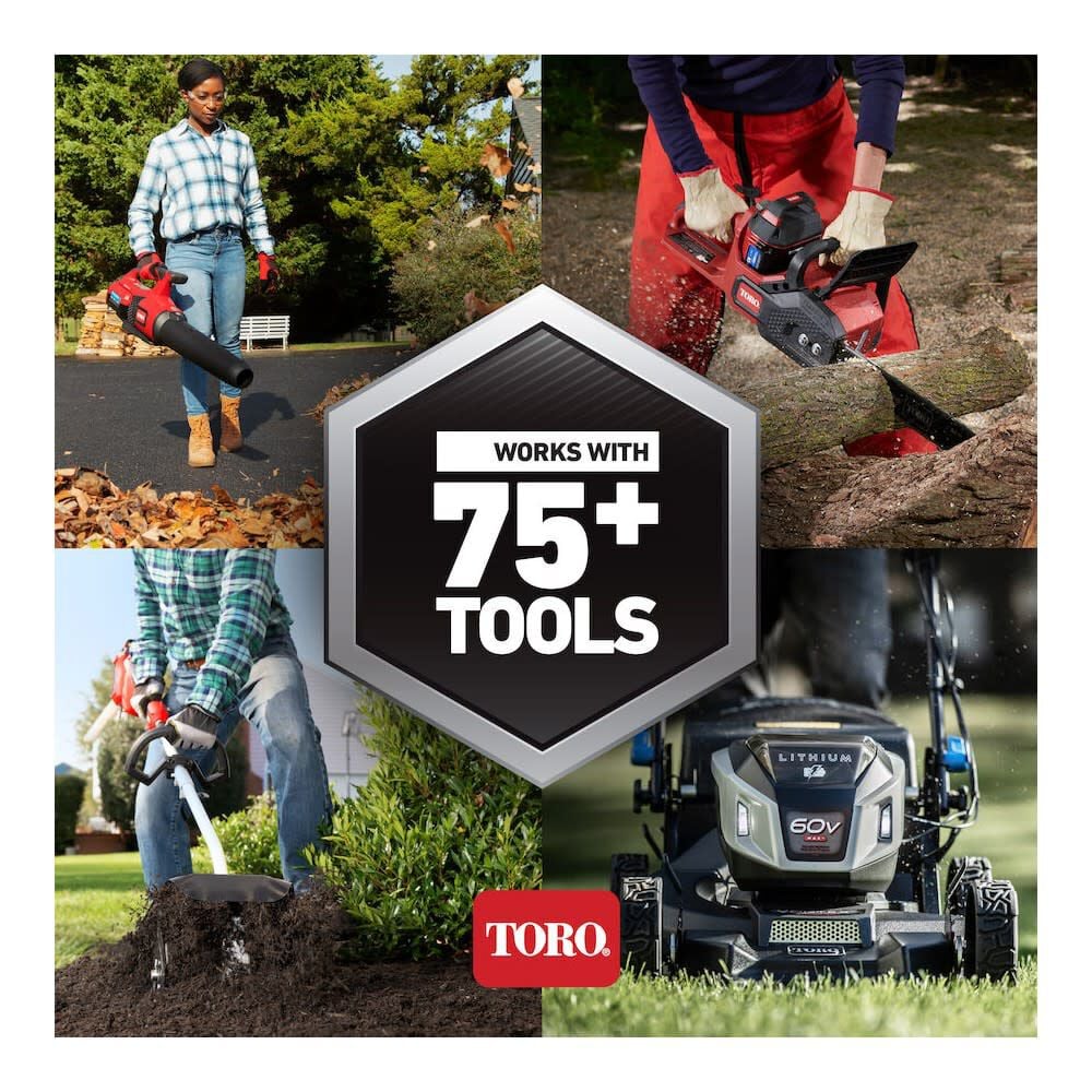 Toro SnowMaster 60V 24in Snow Blower Kit with Battery and Charger 39915 ...