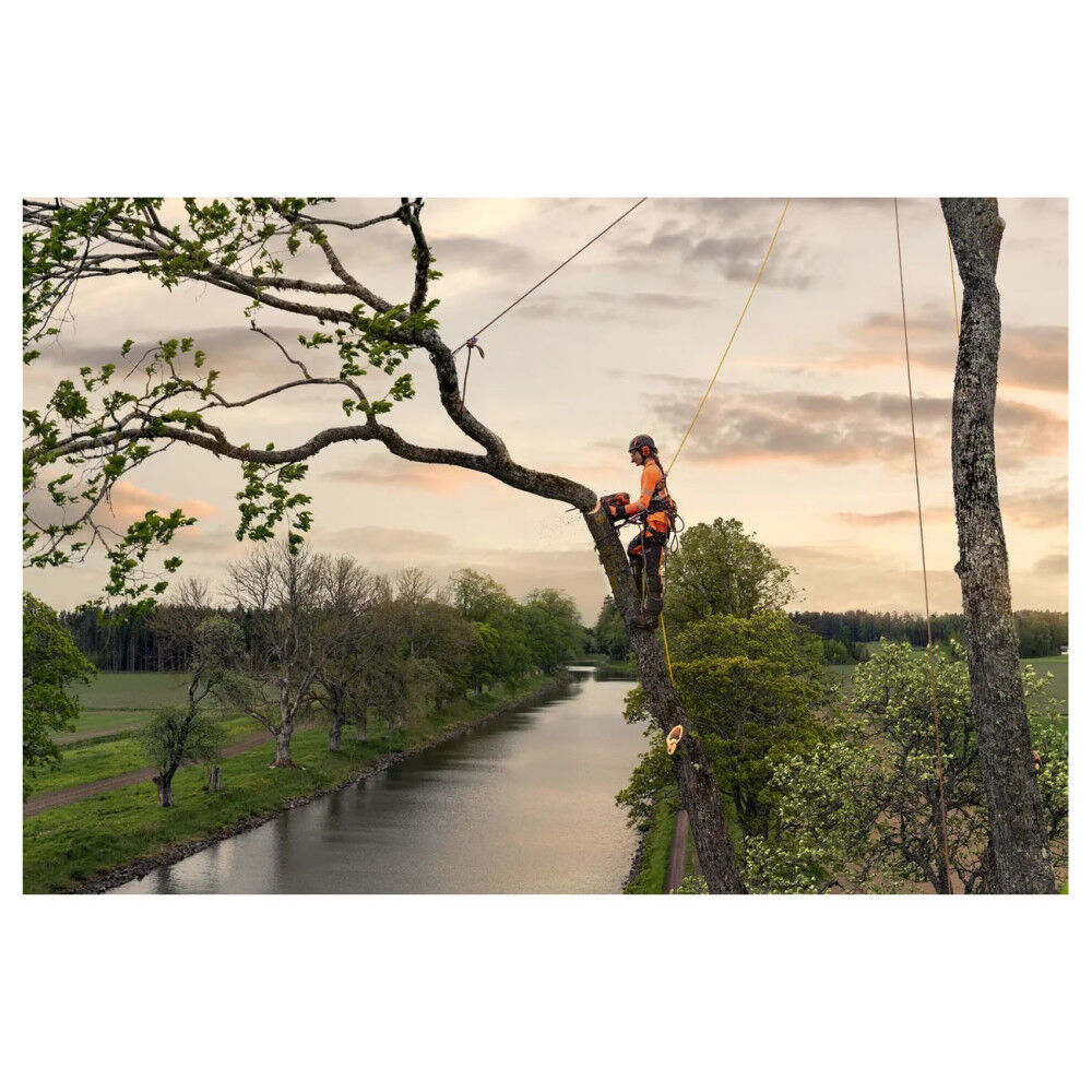 Husqvarna T540 XP Mark III 12 In. 2.39 Cu-In. Gas Chainsaws 970 51 00 ...