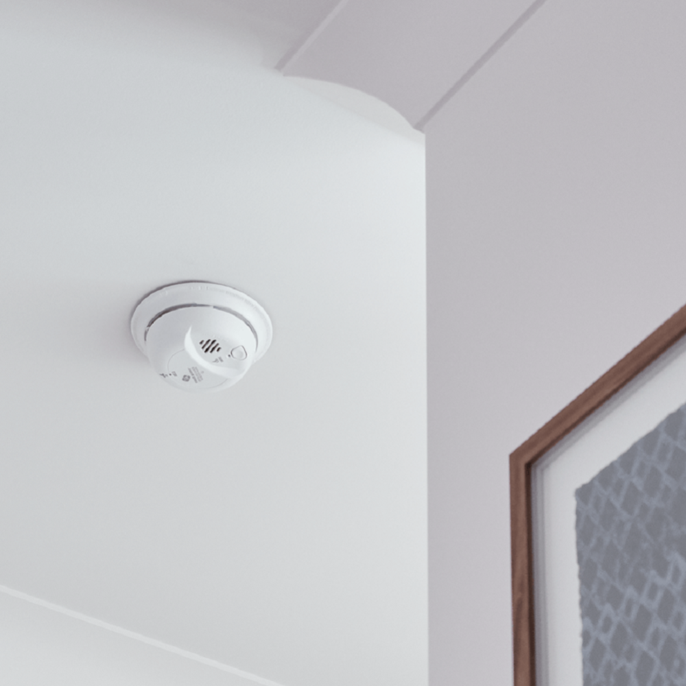 First Alert Hardwired Smoke and Carbon Monoxide Alarm with Battery ...