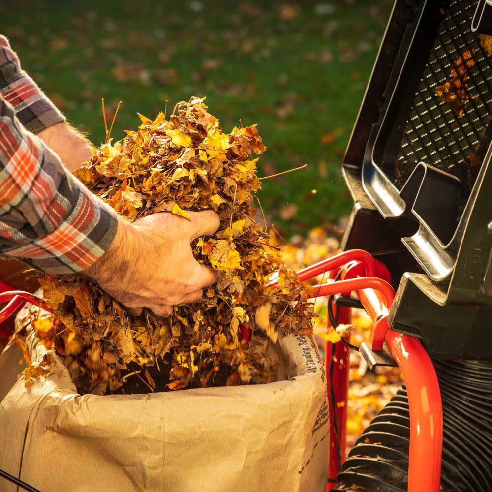 DR Power Equipment Pilot XT 173 cc 4.3HP Electric/Recoil Start Leaf & Lawn Vacuum WL31004DMN ...