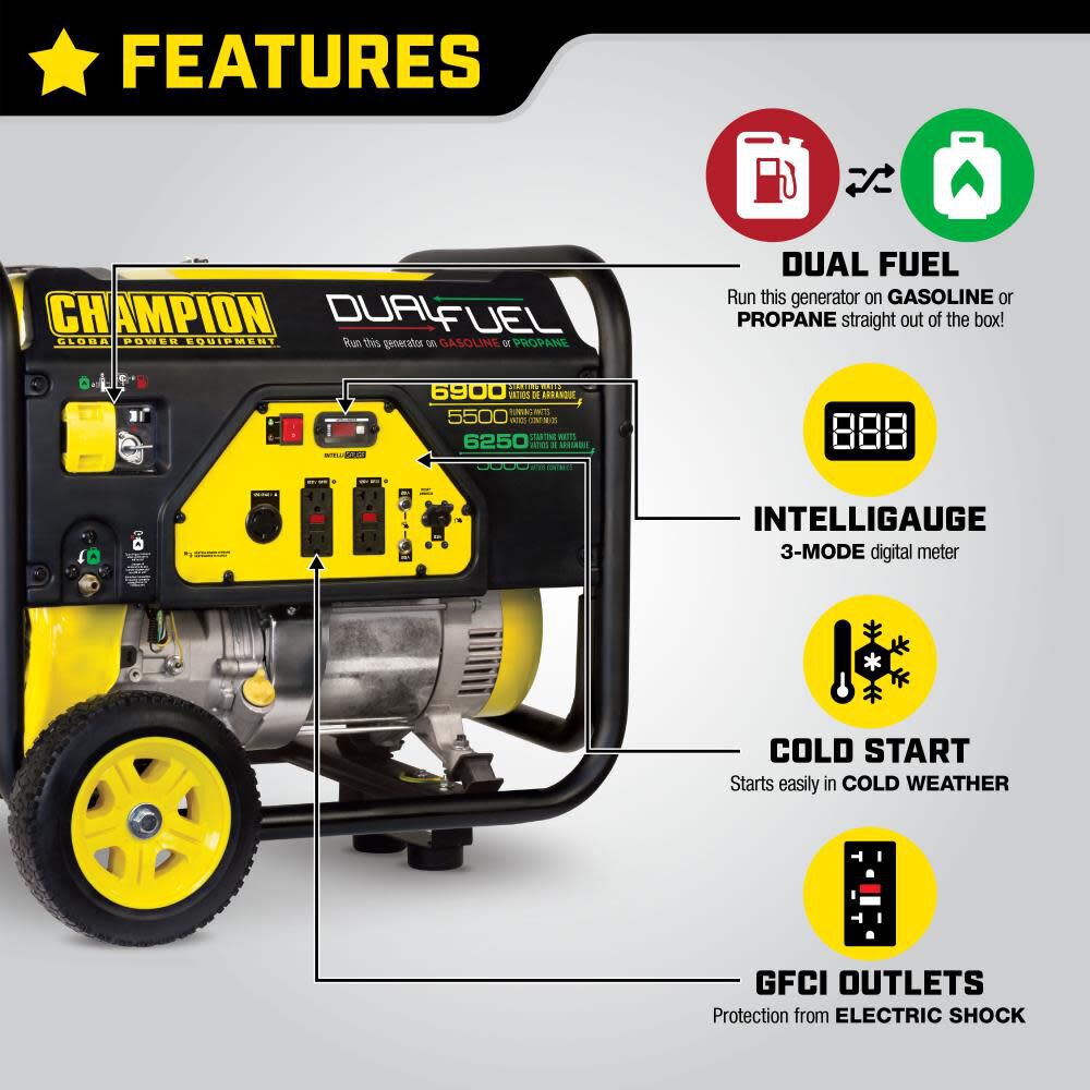 Champion Power Equipment 5500-Watt Dual Fuel Portable Generator with ...
