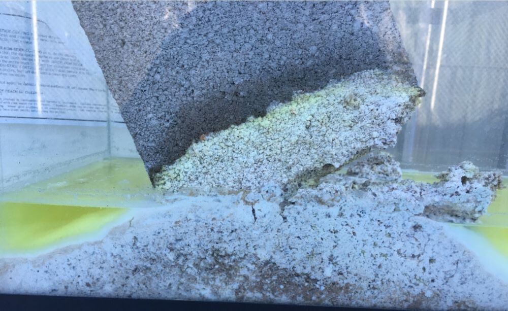 Bullseye Products Super Quick Concrete Dissolver 55 Gallon SC1010-DR ...