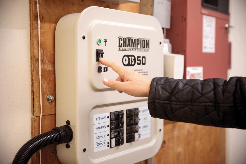 Champion Power Equipment 50 Amp Manual Transfer Switch with 30 ft Power ...