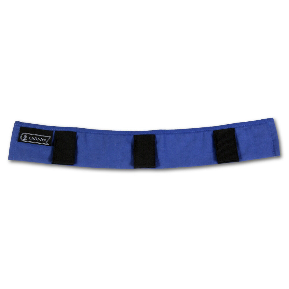 Ergodyne Chill-Its 6716 Evaporative cooling hard hat headband Chill-Its ...