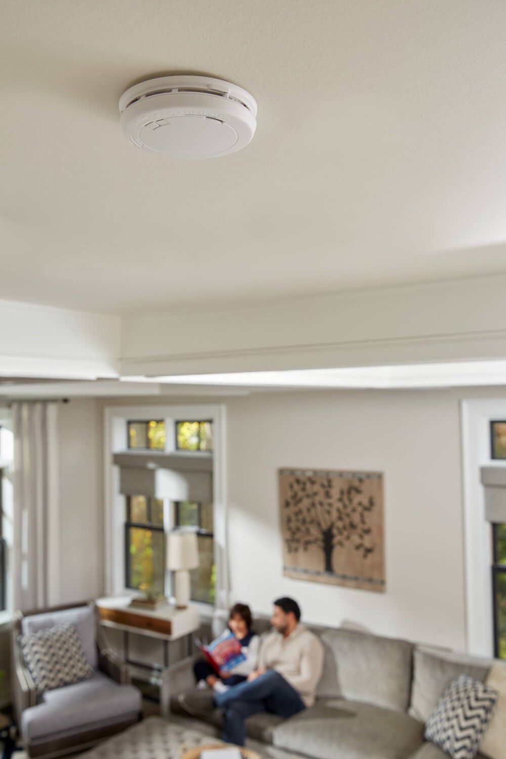 First Alert Slim Photoelectric Smoke Alarm with 10-Year Battery 1039856 ...