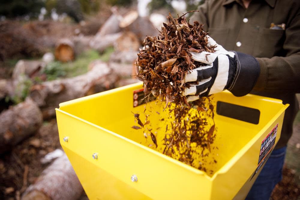 Champion Power Equipment 3in Portable Chipper-Shredder with Collection ...