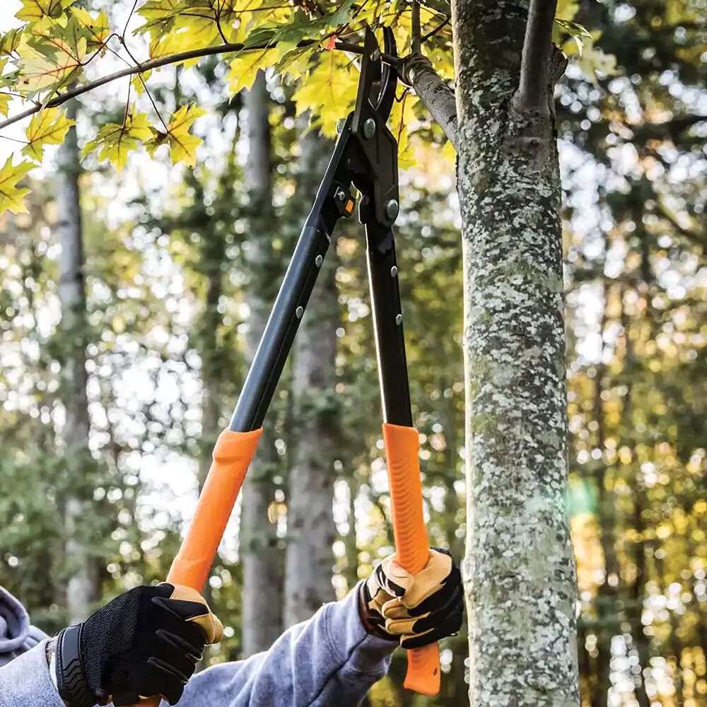 Fiskars Pro Carbon Steel Blade Bypass Lopper with Aluminum Handle ...