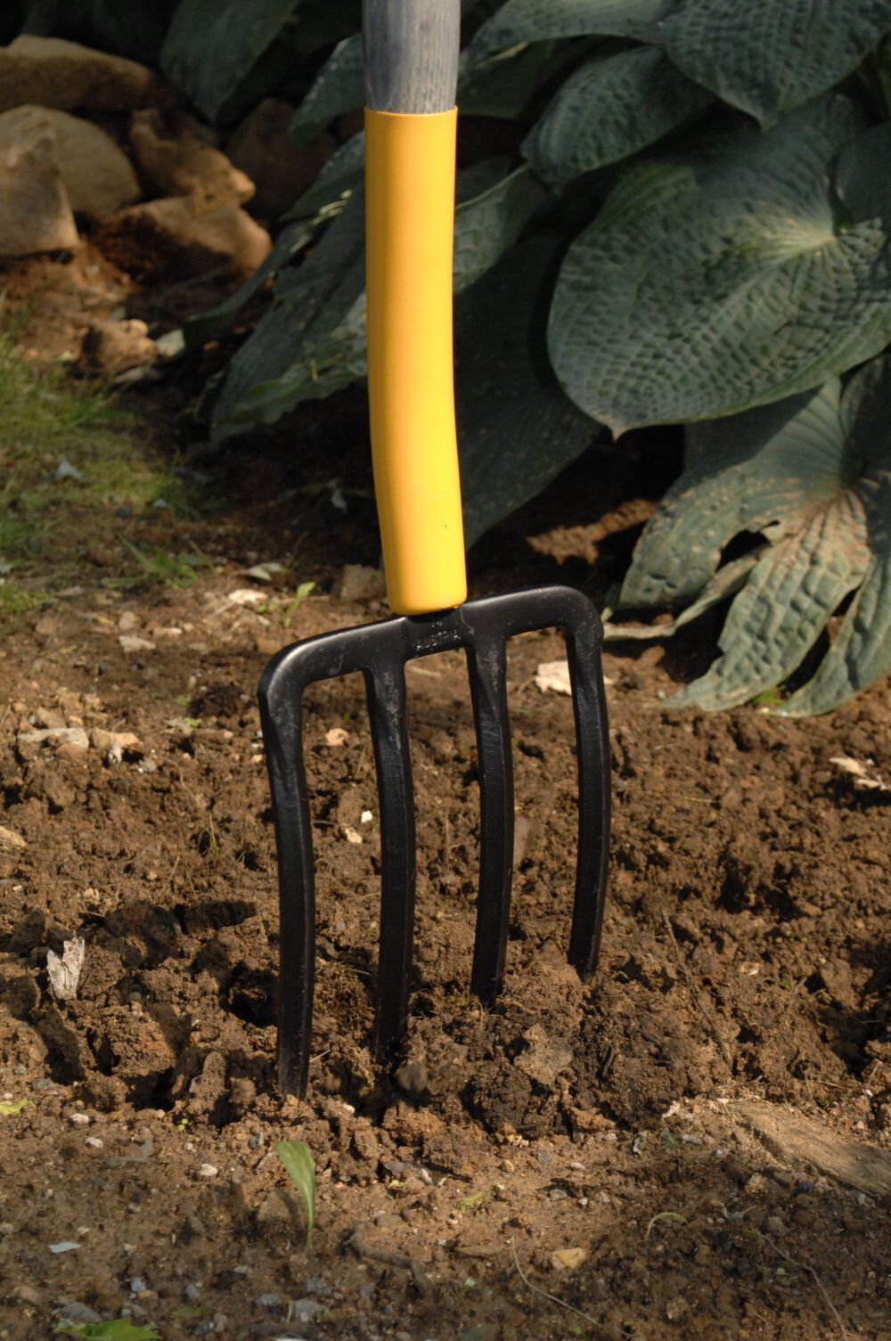 True Temper 4-Tine Spading Fork with D-Top Grip on Hardwood Handle ...