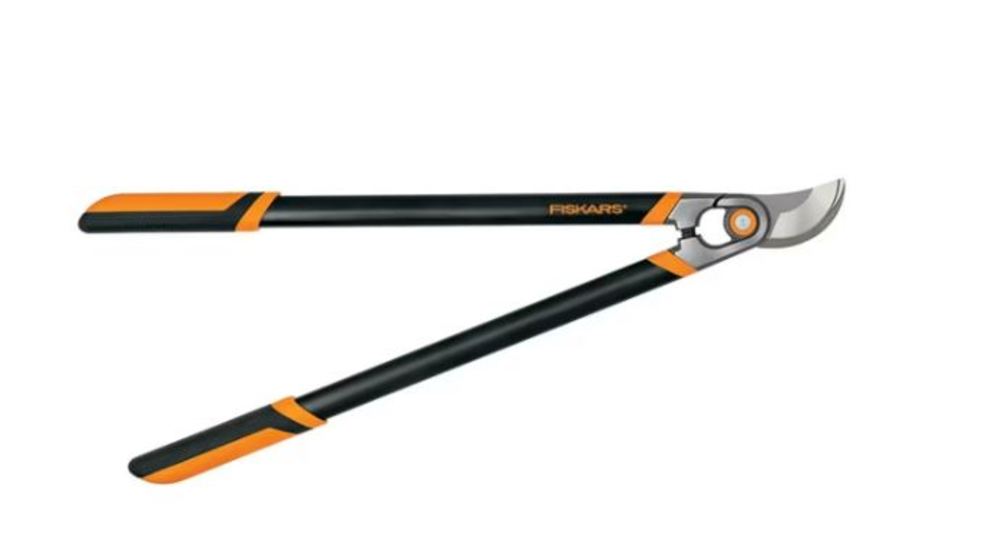 Fiskars 30in Forged Steel Lopper with Replaceable Blade 391561-1001 ...