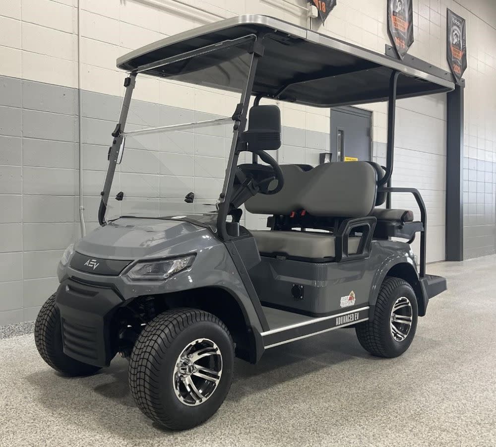 Advanced EV Advent 48V 2+2 Electric Passenger Golf Cart, Charcoal AD 4 ...